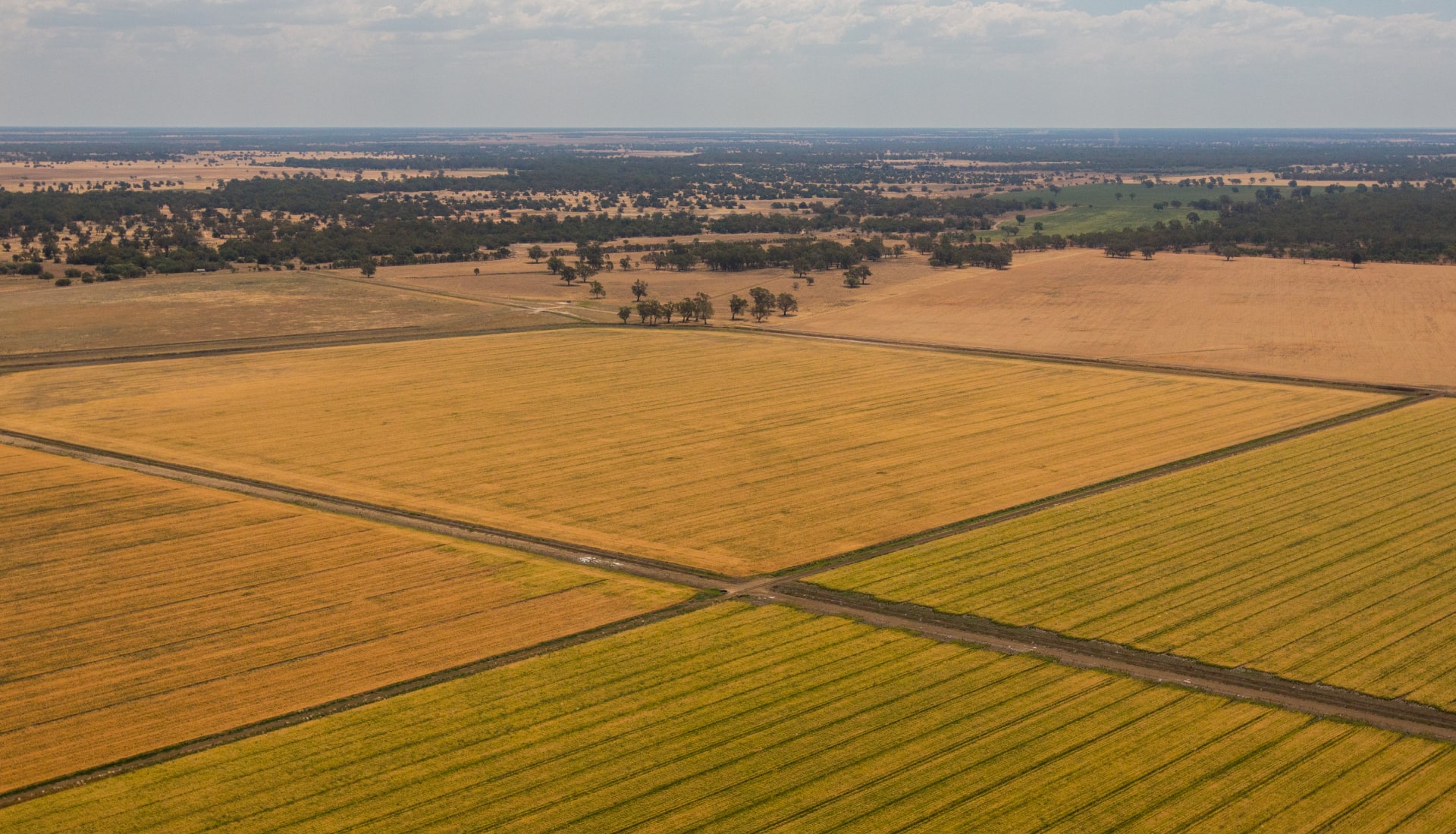 Hassad Food – Investment Arm in Food & Agribusiness Sectors