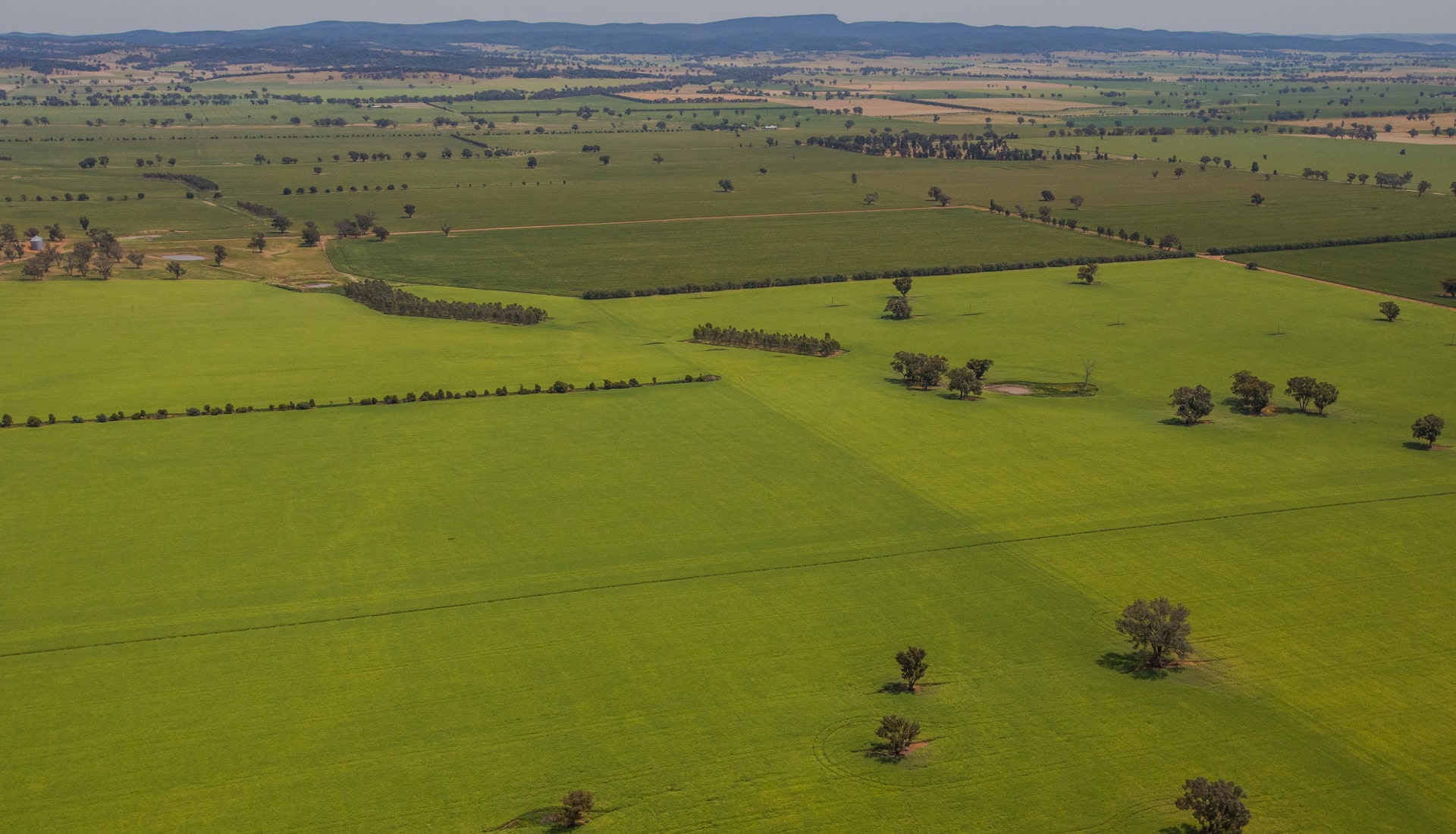 Hassad Food – Investment Arm in Food & Agribusiness Sectors