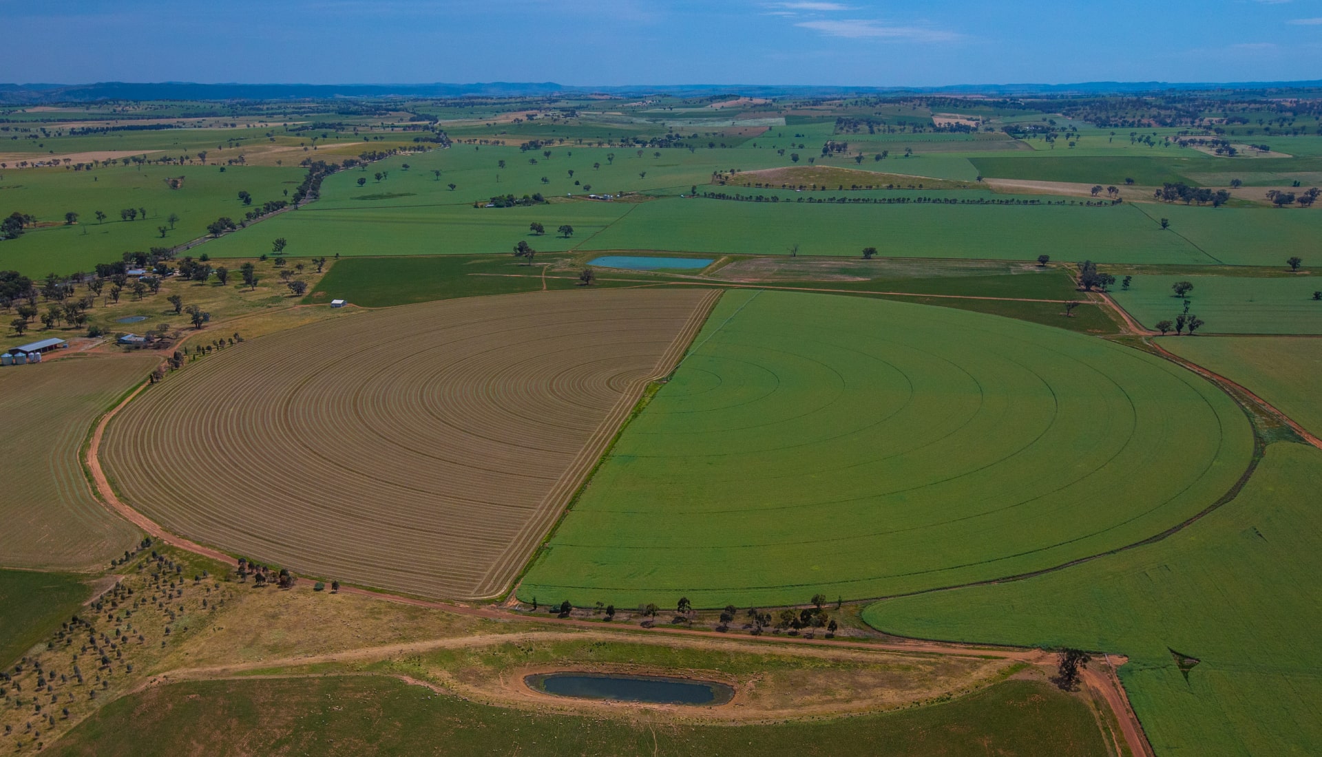 Hassad Food – Investment Arm in Food & Agribusiness Sectors